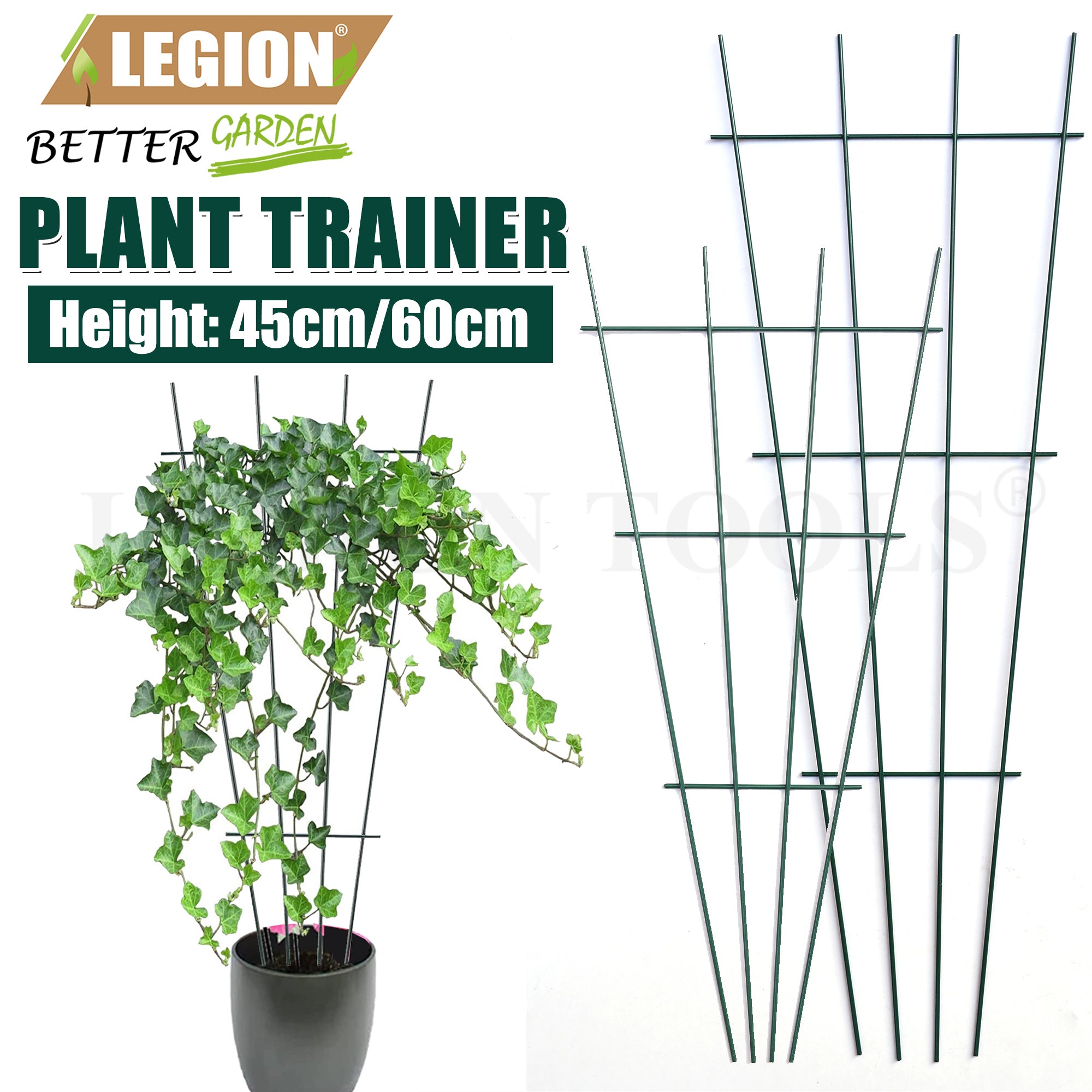 Fan Plant Trainer 45cm / 60cm – Legion Warehouse