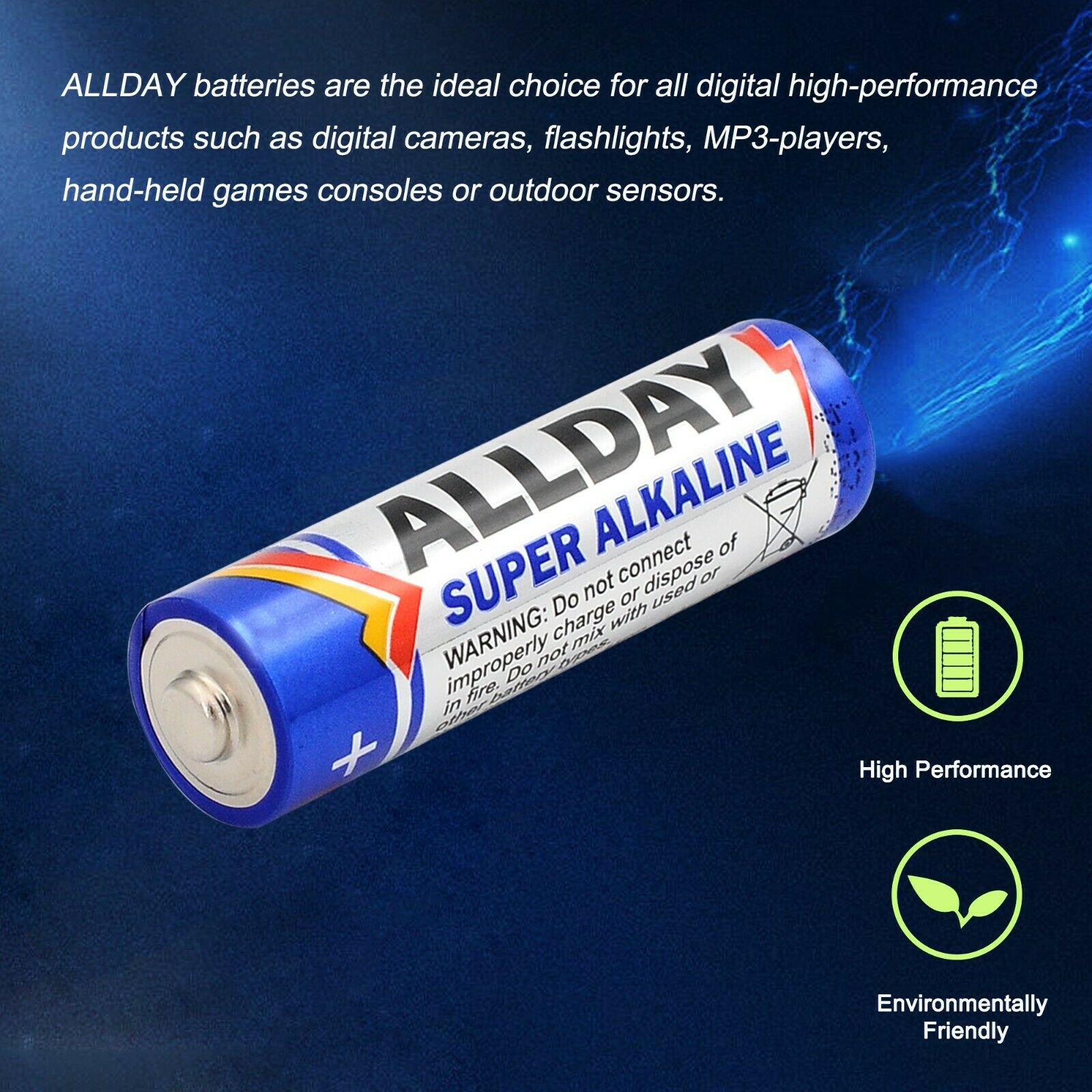 Alkaline Batteries AA / AAA / C / D / 9V – Legion Warehouse