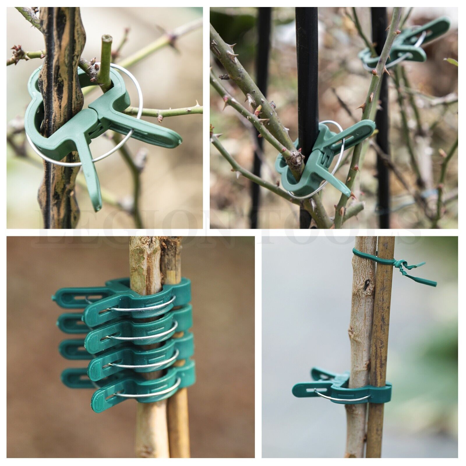 Garden Branches Clip – Legion Warehouse
